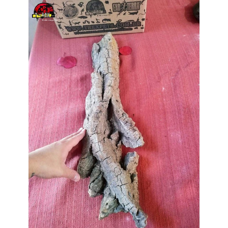 Tronco Natural para Terrários - Répteis - Iguana